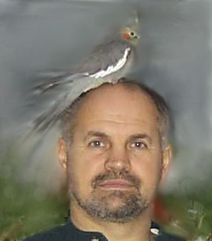 Peter Cernat - Painting and Illustration